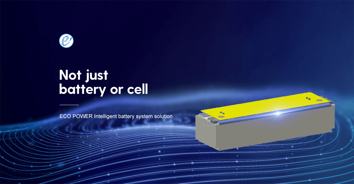 MS1010-25.6V100A-(100AH 1P8S) Supplier | Eco Power